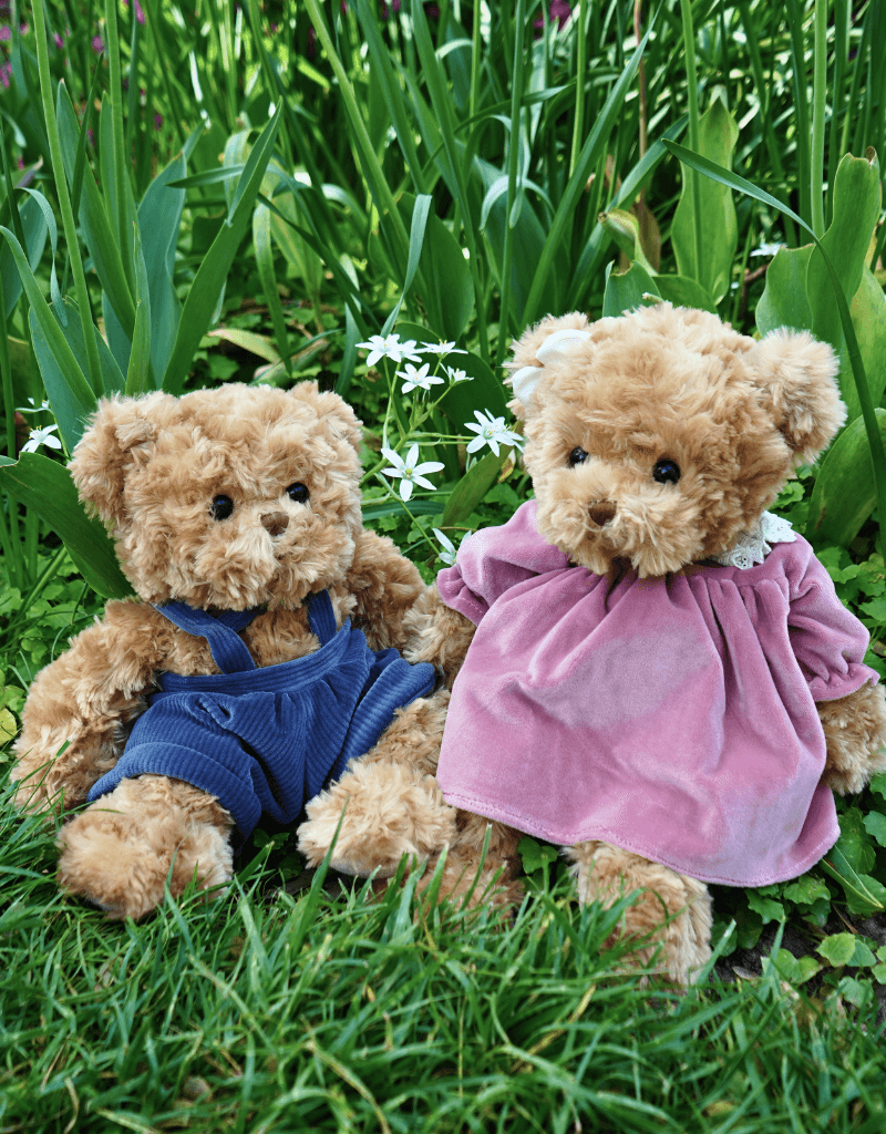 Bear Pairs – Bukowski Bears