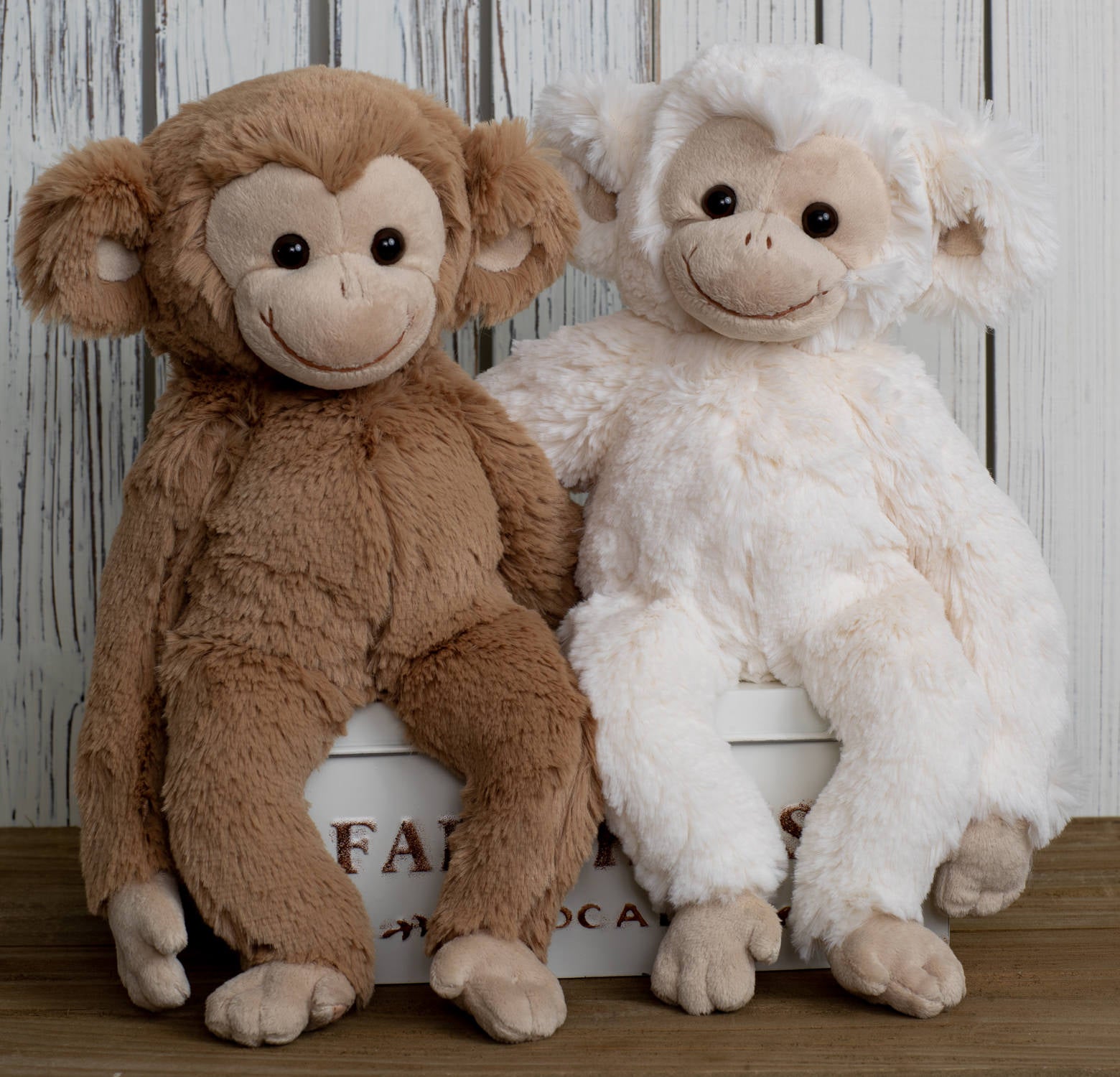 Monkeys – Bukowski Bears