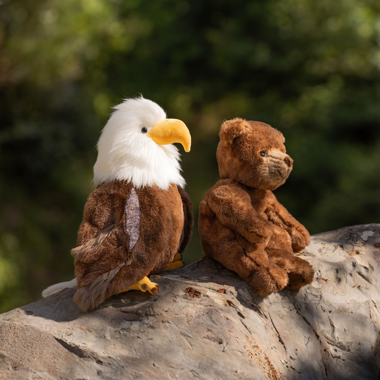 Ranger – Bukowski Bears