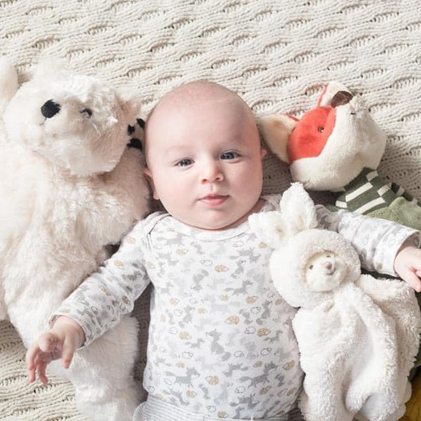 The Big Foxy – Bukowski Bears